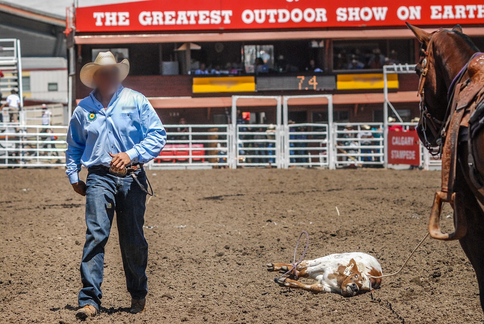 Test your knowledge about rodeo - Rodeo Truth Quiz